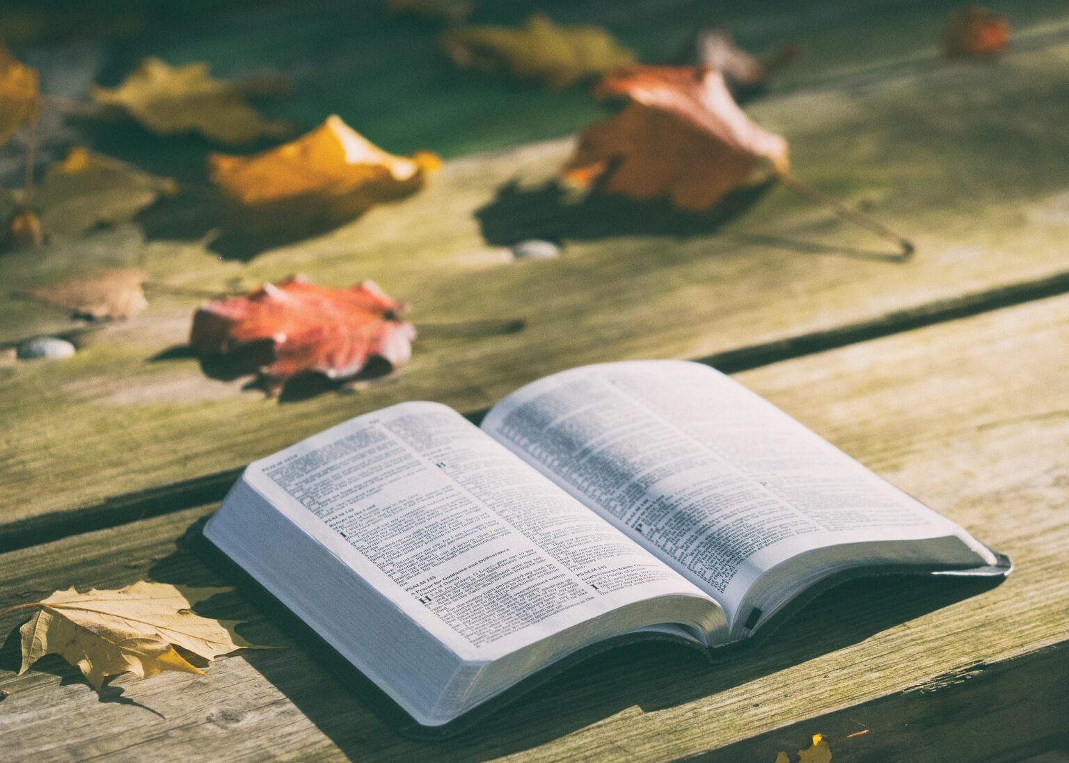 Speak Up for Justice: A Deep Dive into Proverbs 31:8 for Christian ...